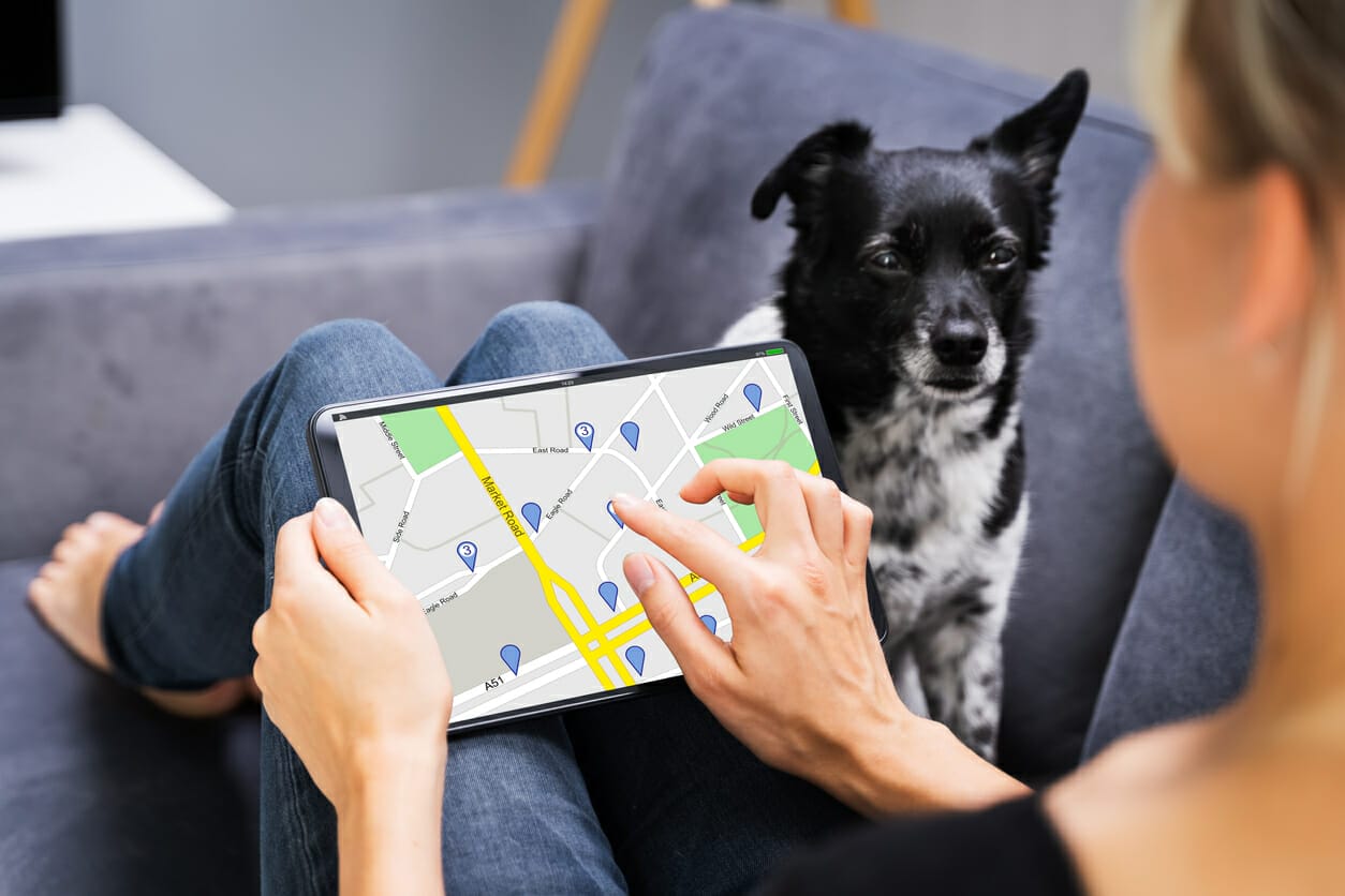 5 Best GPS Trackers For Dogs: 24/7 Monitoring