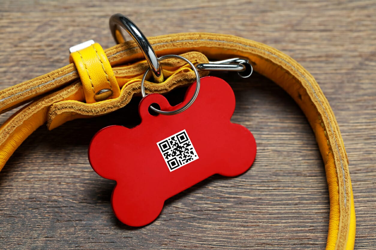 Best QR Code Dog Tag: Scan Your Dog!
